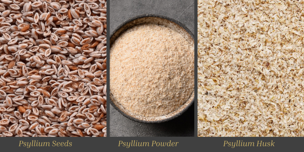 What is Psyllium Husk? Benefits, Uses, and Why It’s a Superfood ...